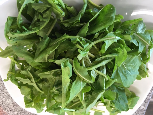 The Virtues of Arugula | elyn jacobs